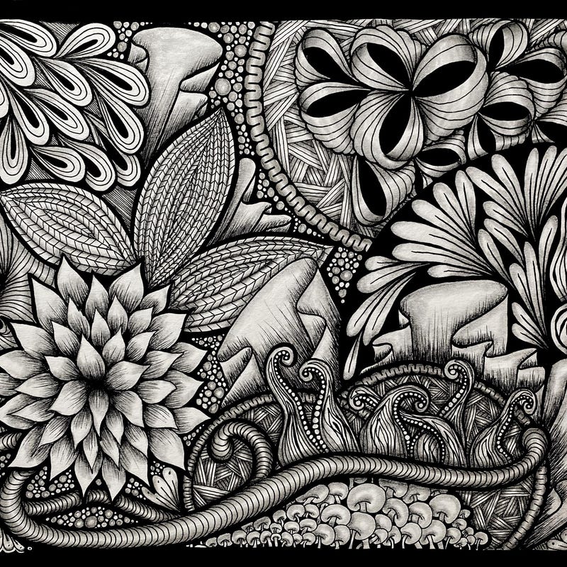 Ink Drawings or Sea Life - Etsy