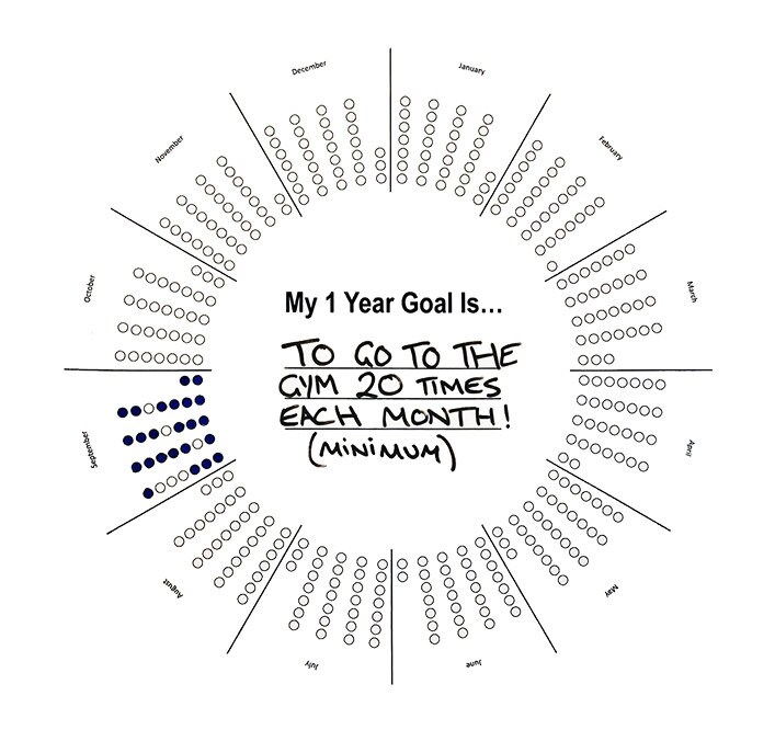 1 Year Goal Chart, New Years Resolution Tracker, Habit Tracker Journal ...