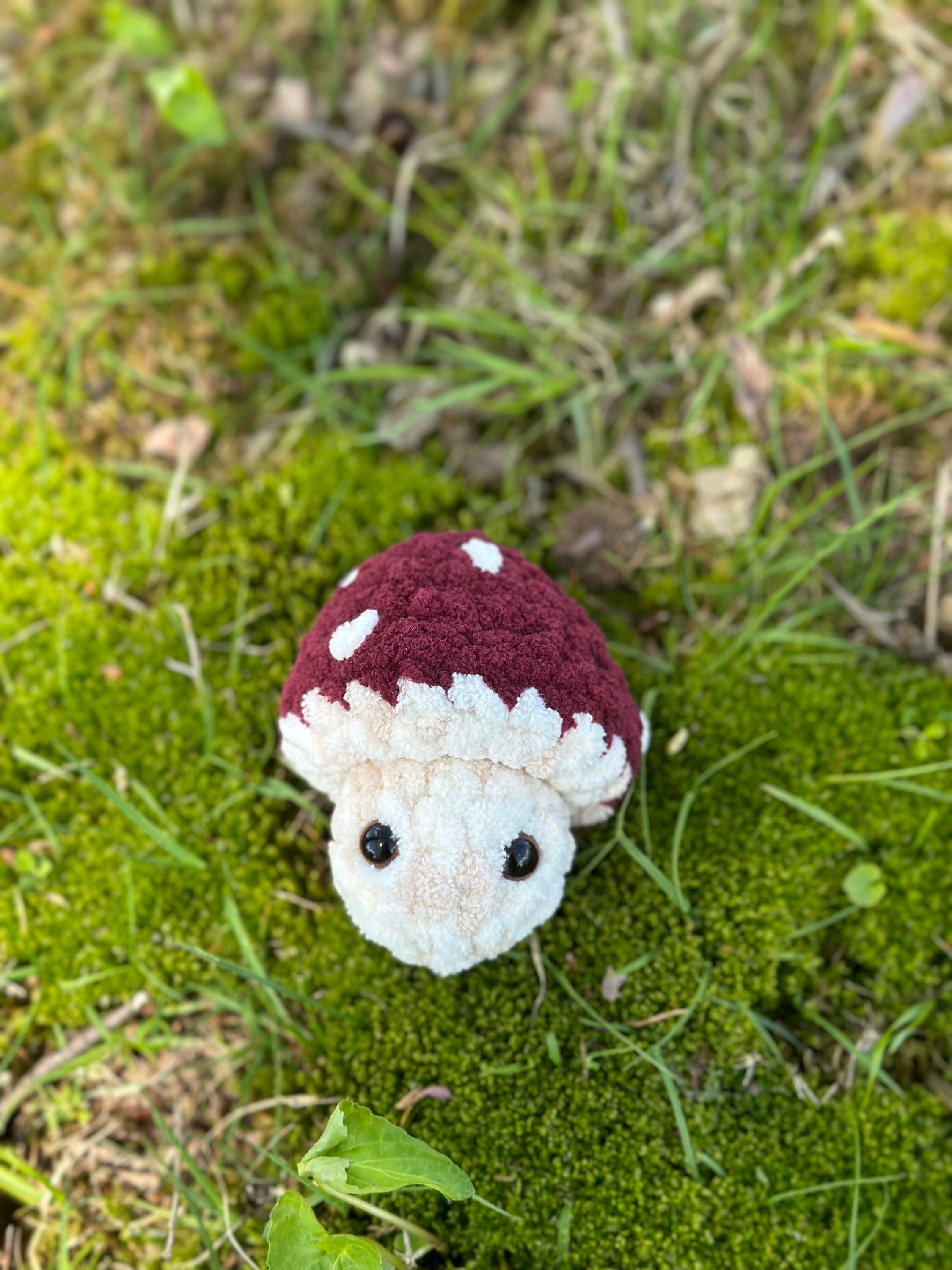 Crocheted Fungi Fidget Toy - Popping Mushroom - Etsy