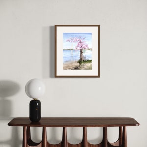 Stumpy Tree in Tidal Basin, Washington DC Art Print Cherry Blossoms ...