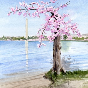 Stumpy Tree in Tidal Basin, Washington DC Art Print | Cherry Blossoms ...