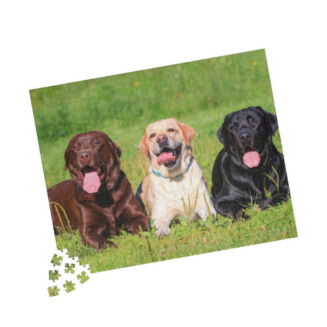 Dog Jigsaw Puzzle, Chocolate White and Black Labrador Retriever Puzzle ...