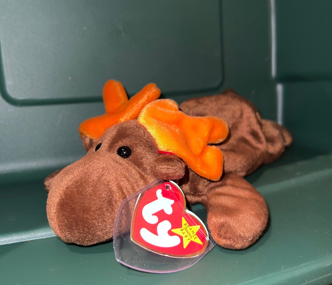 Ty Beanie Baby “chocolate Moose” W/ Tag Protector - Etsy