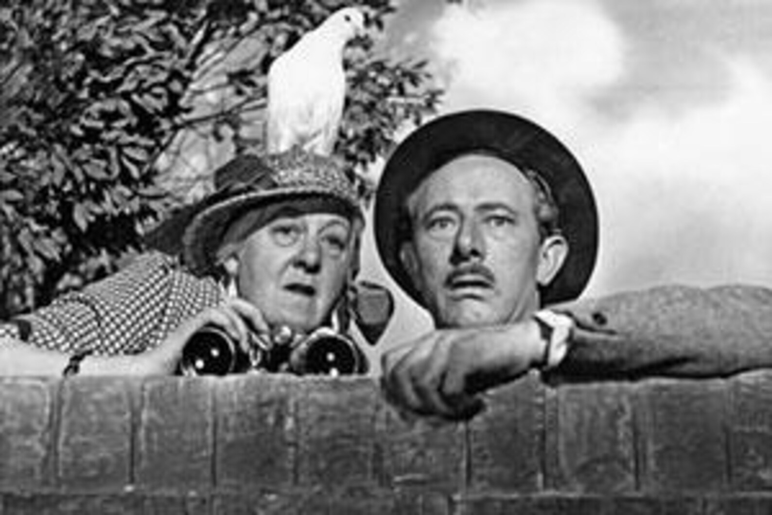 Miss Robin Hood 1952 Margaret Rutherford and Richard Hearne. DVD - Etsy ...