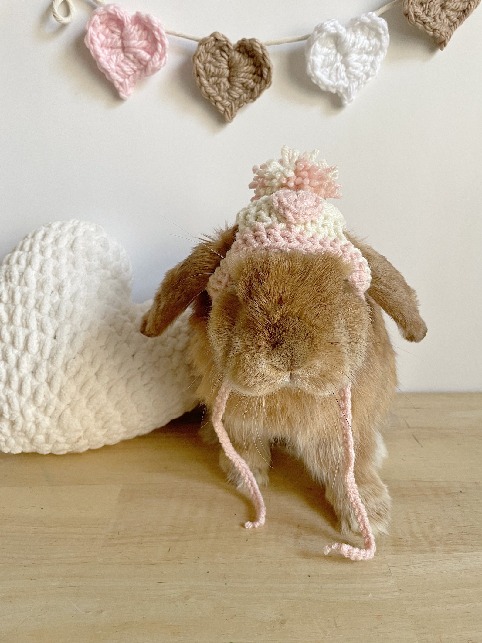 Bonded Besties Beanie, Bunny Valentine Hat, Crocheted Rabbit Hat - Etsy