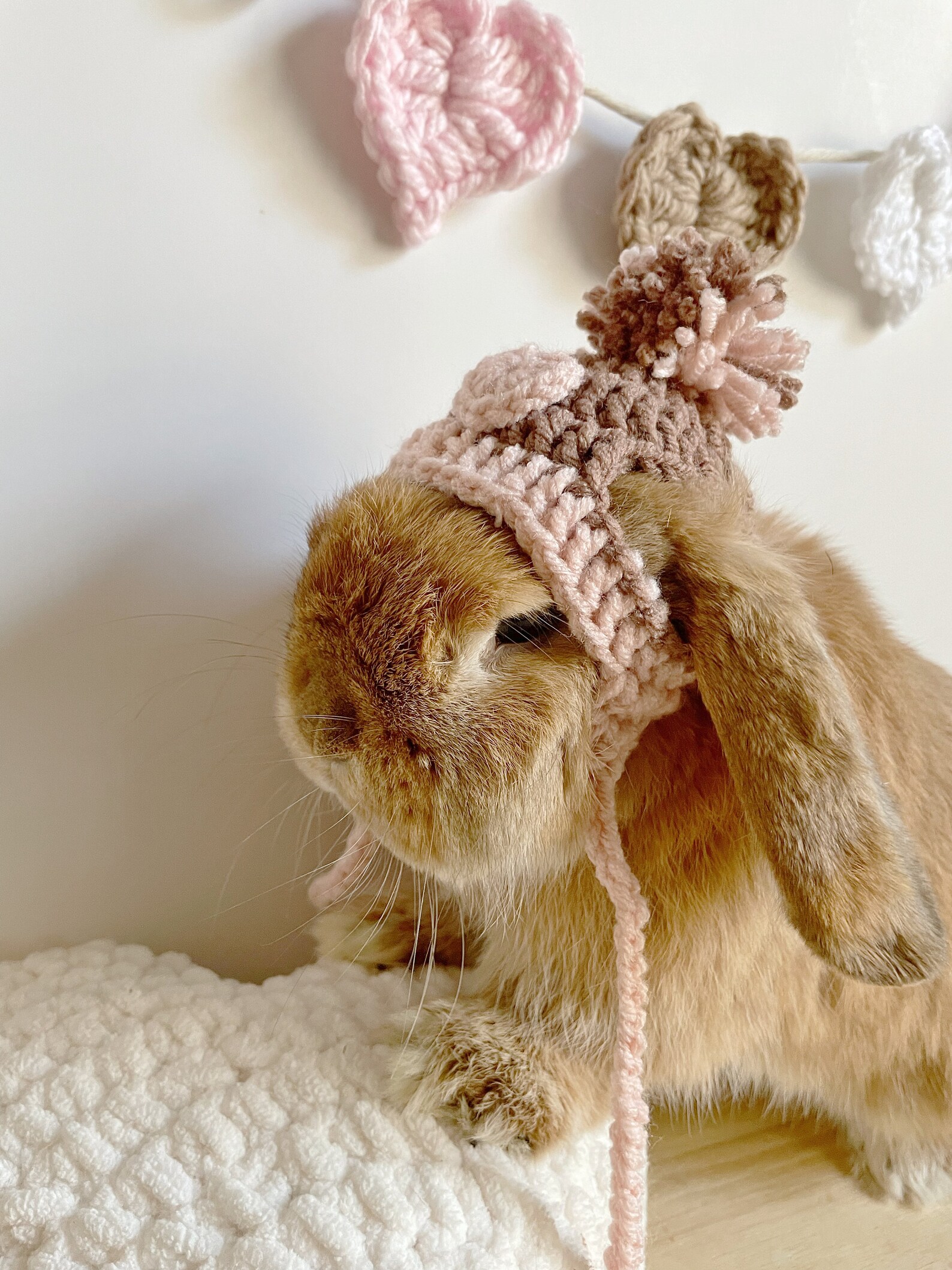 Bonded Besties Beanie, Bunny Valentine Hat, Crocheted Rabbit Hat - Etsy