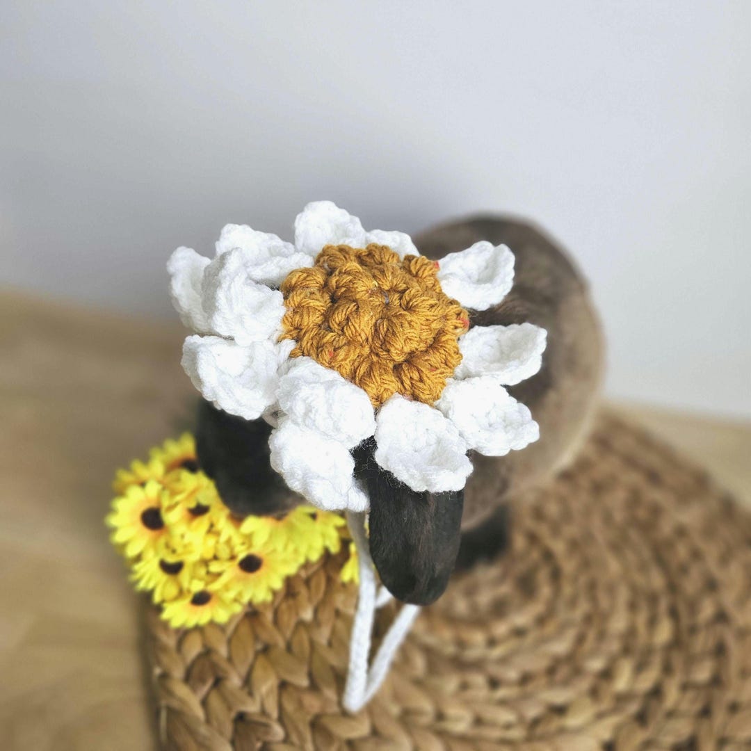Daisy Flower Hat for Bunny – Soft Cotton Small Pet Bonnet, Rabbit Hat ...