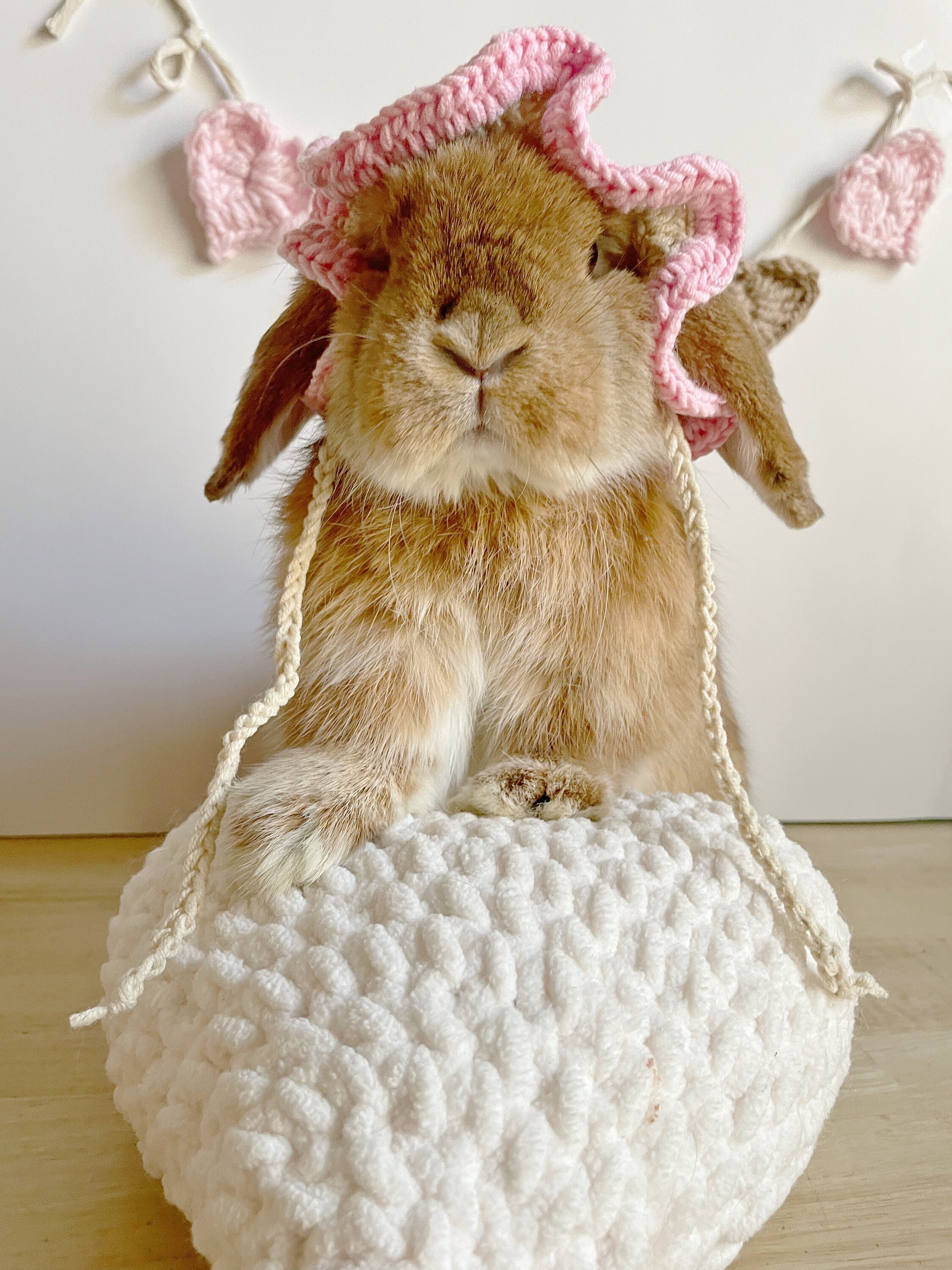 Bunny Valentine’s Hat, Cotton Pet Bonnet, Rabbit Sun Hat - Etsy