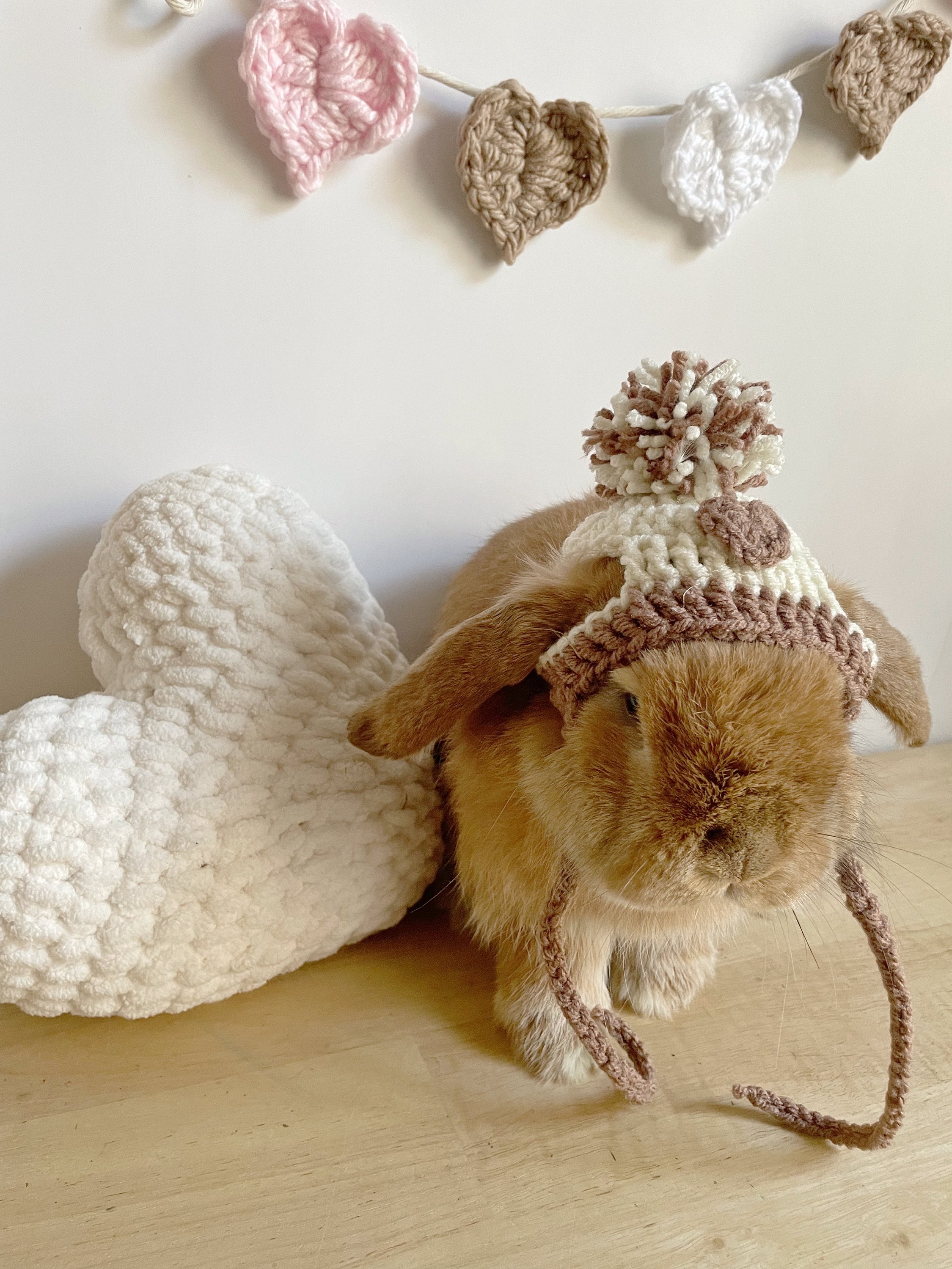Bonded Besties Beanie, Bunny Valentine Hat, Crocheted Rabbit Hat - Etsy