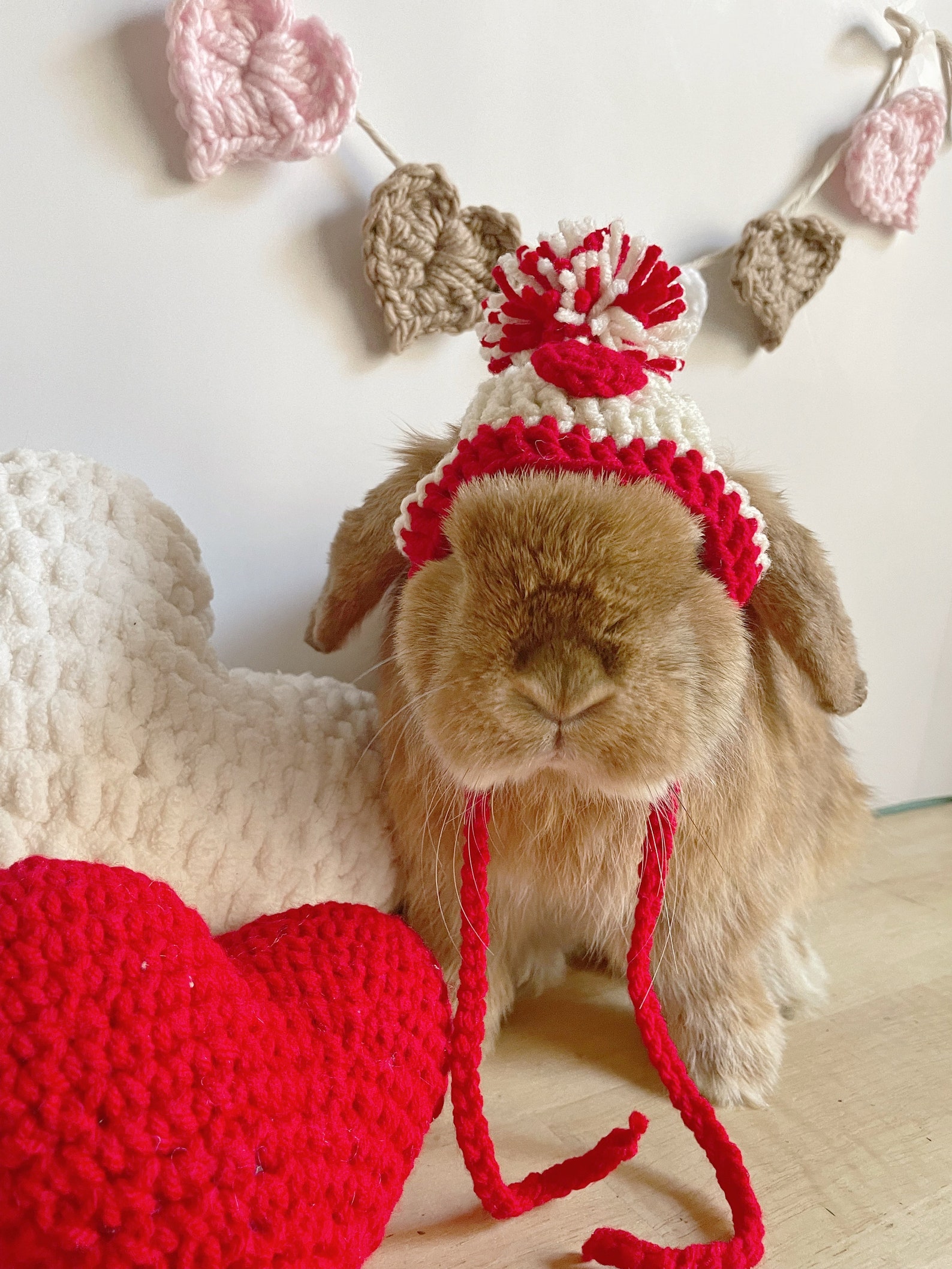 Bonded Besties Beanie, Bunny Valentine Hat, Crocheted Rabbit Hat - Etsy