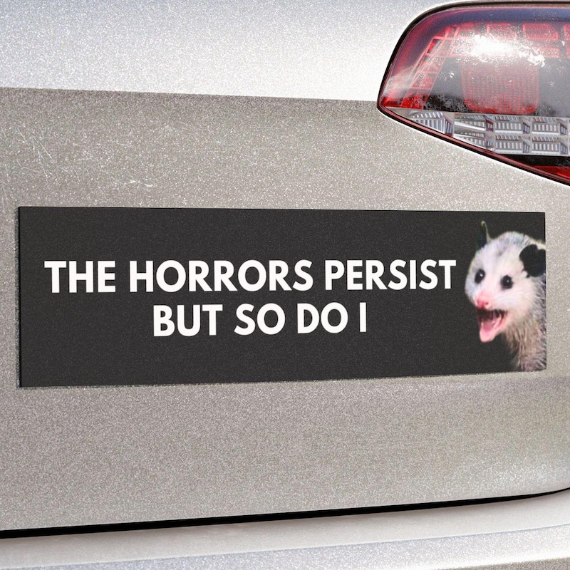 Funny Car Magnet Raccoon - Etsy UK