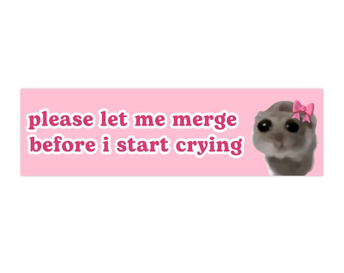 This is Who Youre Angry at | Sad Hamster Car Bumper Sticker | Crying ...