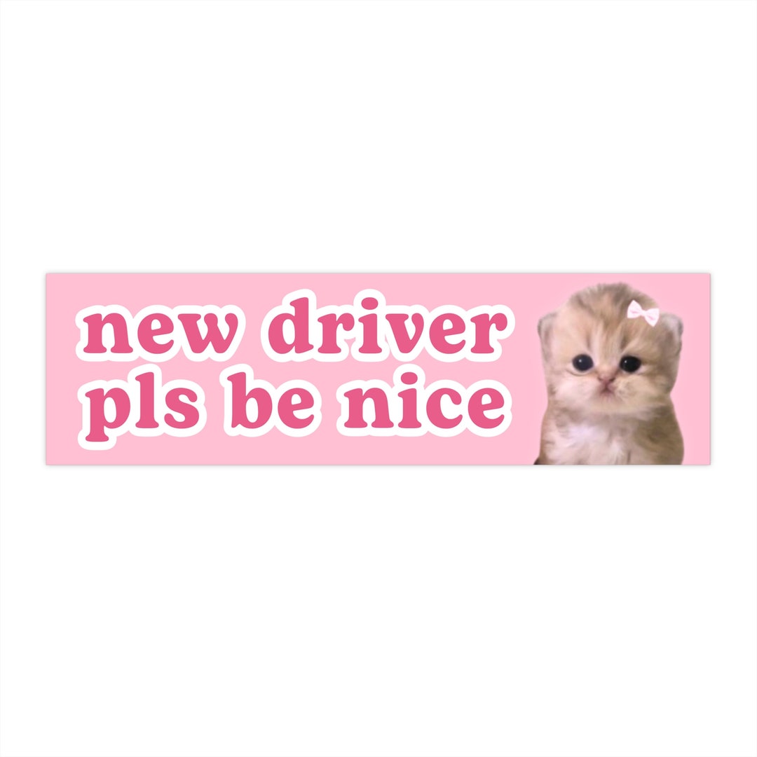 New Driver Pls Be Nice | Cat Meme Car Bumper Sticker | Pink Coquette ...