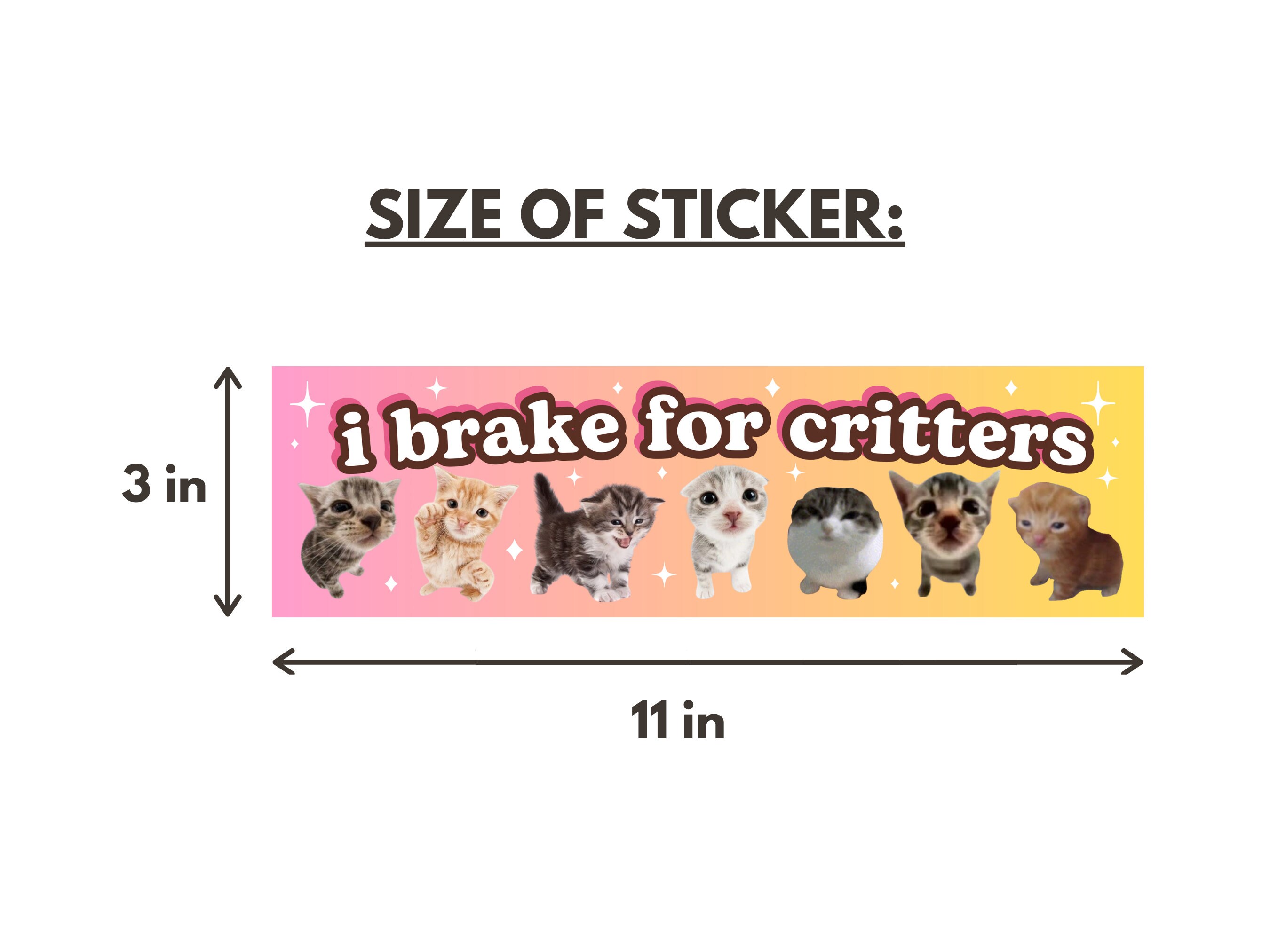 I Brake for Critters | Cat Meme Car Bumper Sticker | Funny Cute Kitty ...