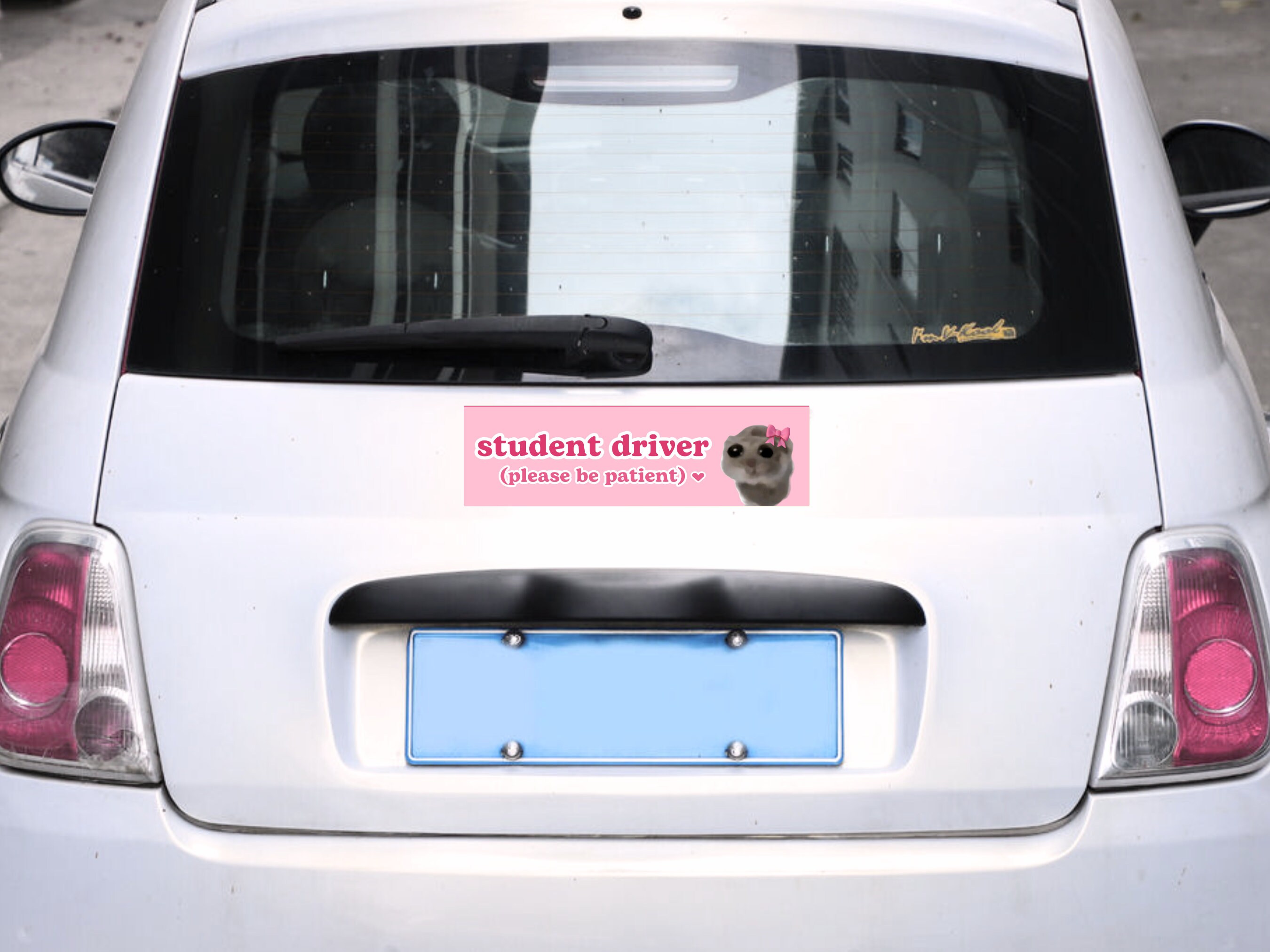 Student Driver | Sad Hamster Car Bumper Sticker | Crying Funny Cute ...