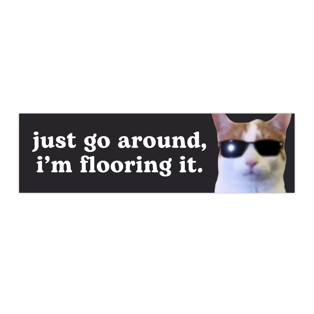Just Go Around, I'm Flooring It. | Cat Meme Car Bumper Sticker | Funny ...