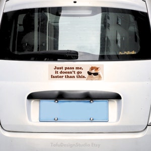 Just Past Me, It Doesn't Go Faster Than This | Cat Meme Car Bumper ...