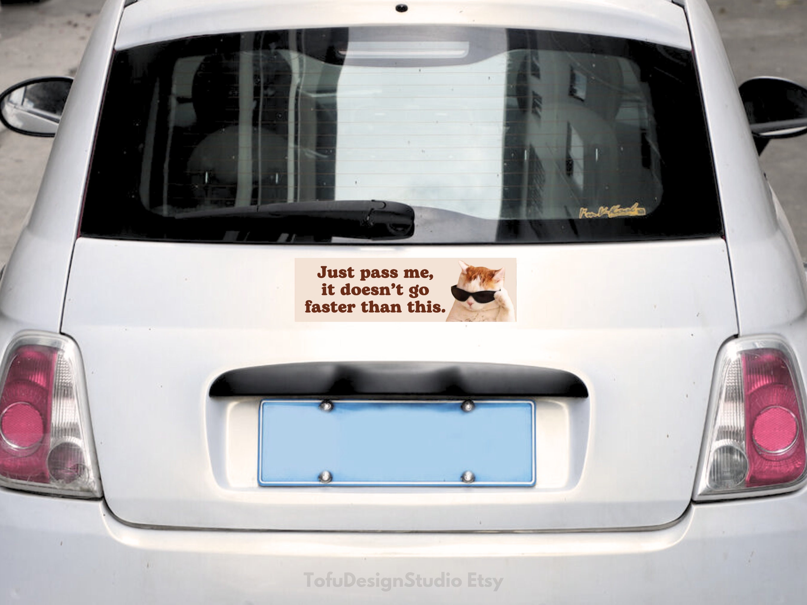 Just Past Me, It Doesn't Go Faster Than This | Cat Meme Car Bumper ...