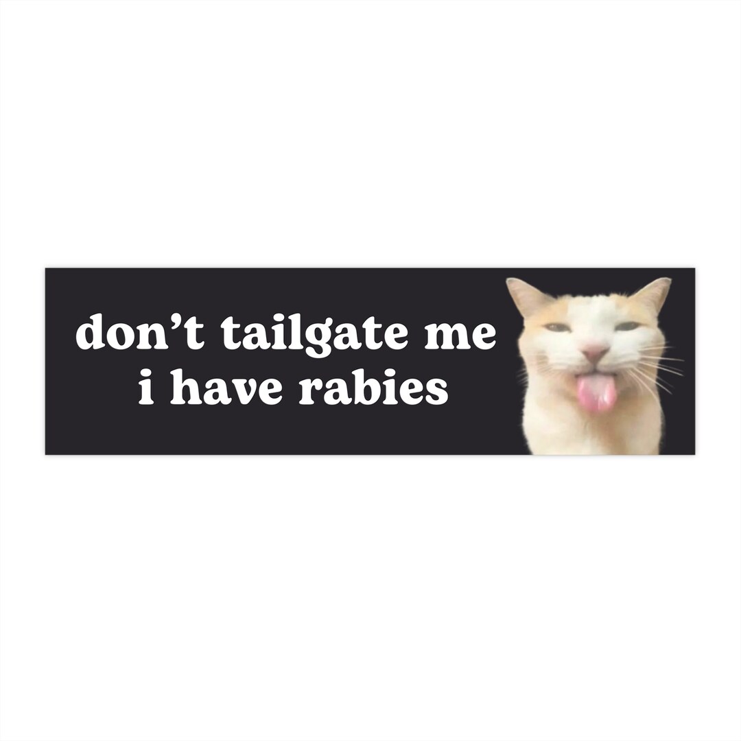 Don't Tailgate Me I Have Rabies | Silly Cat Meme Car Bumper Sticker ...
