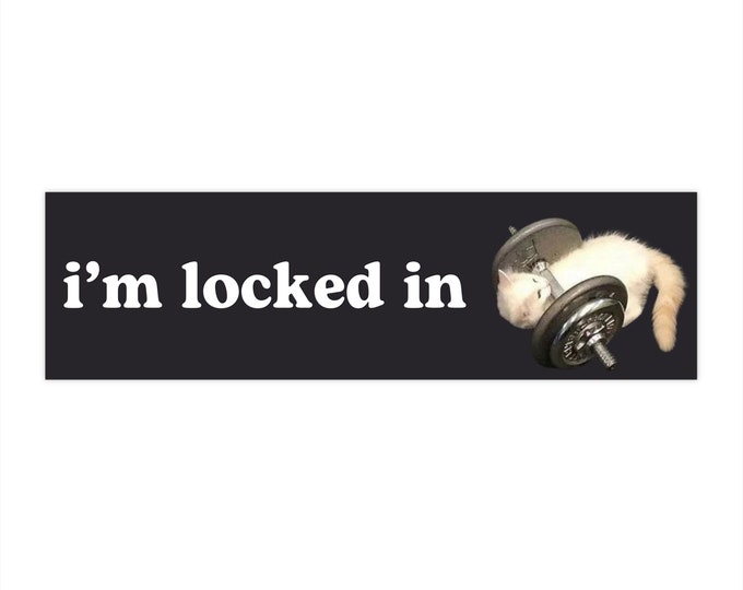 Student Driver Sad Hamster Car Bumper Sticker Crying Funny Cute Pink ...