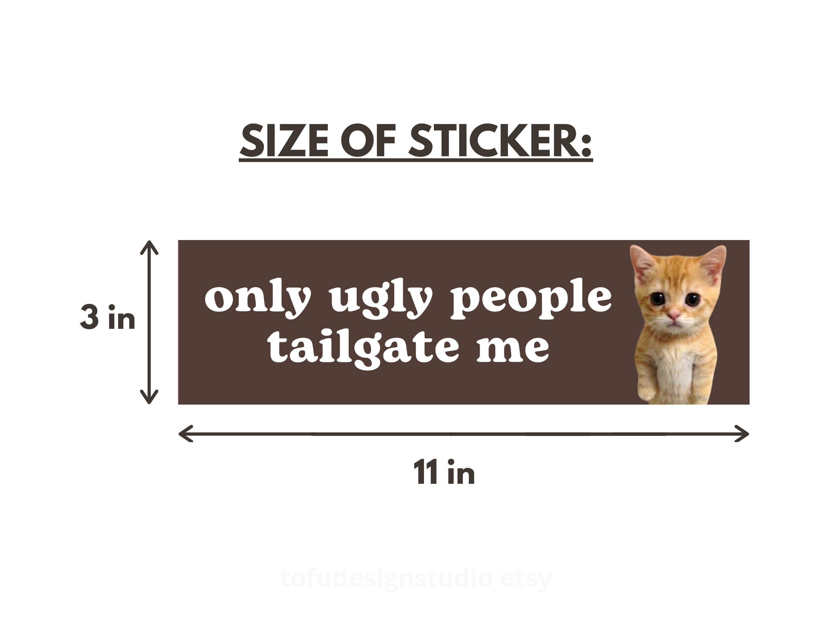 Only Ugly People Tailgate Me El Gato Cat Meme Car Bumper Sticker Cute ...
