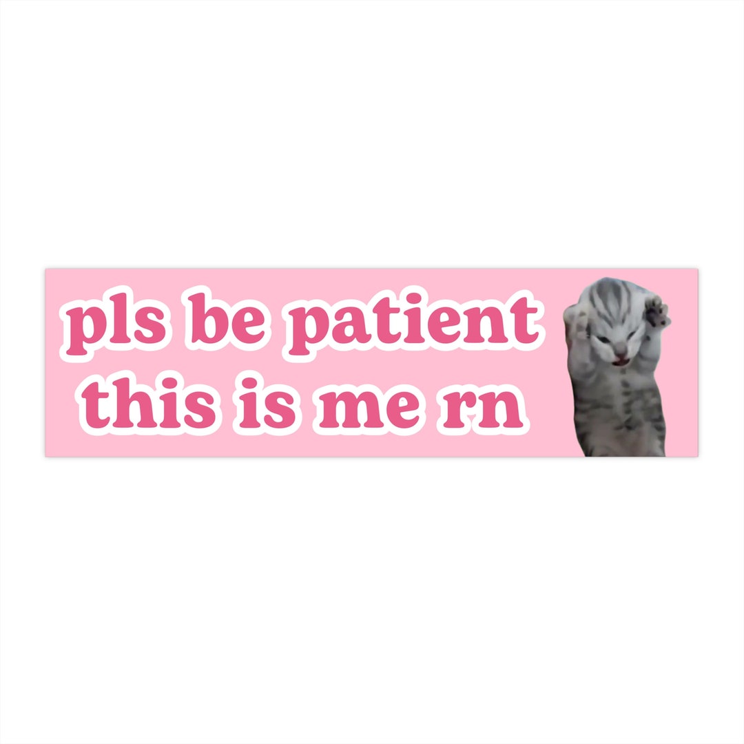 Pls Be Patient This is Me Rn | Cat Meme Car Bumper Sticker | Crying ...