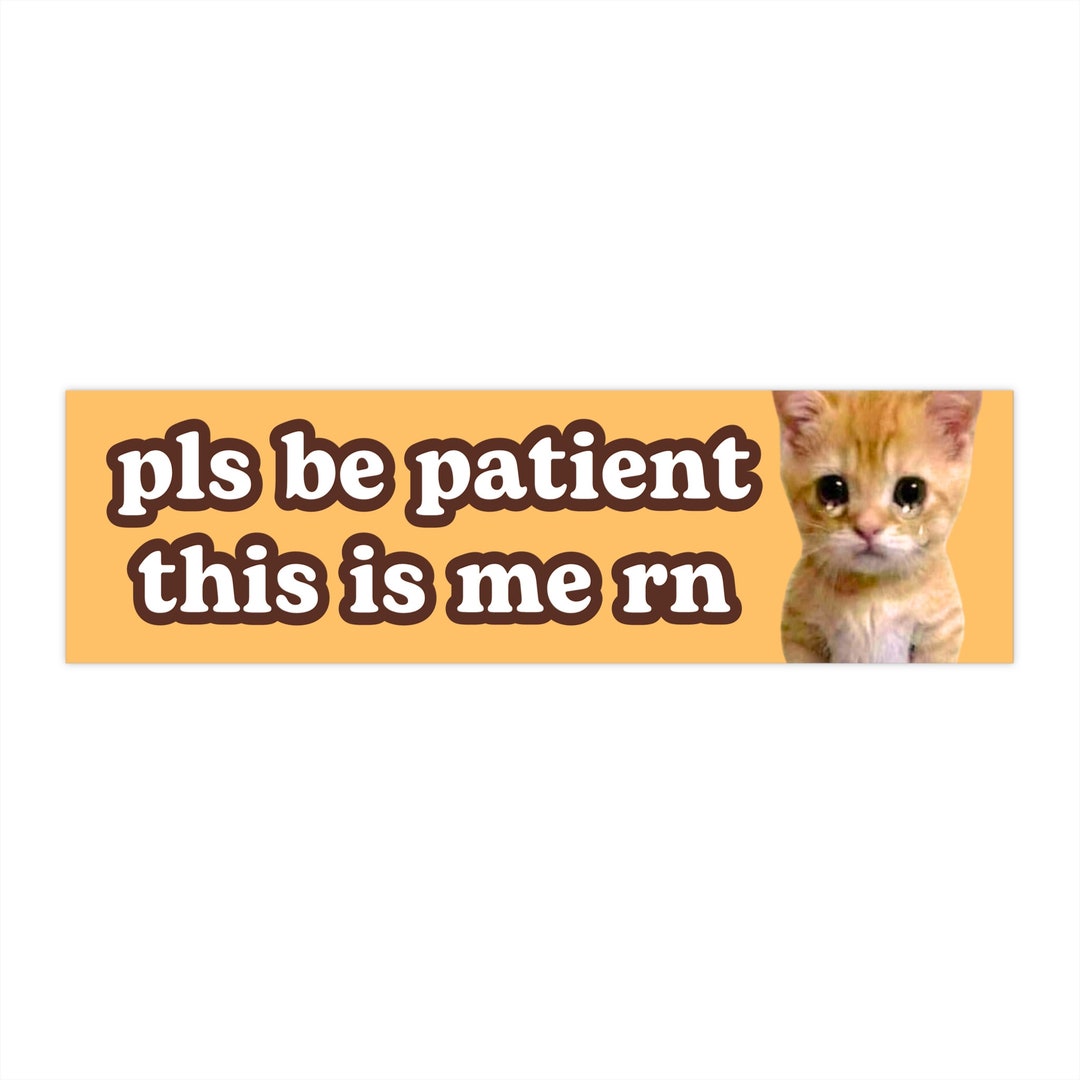 Pls Be Patient This is Me Rn | El Gato Cat Meme Car Bumper Sticker ...