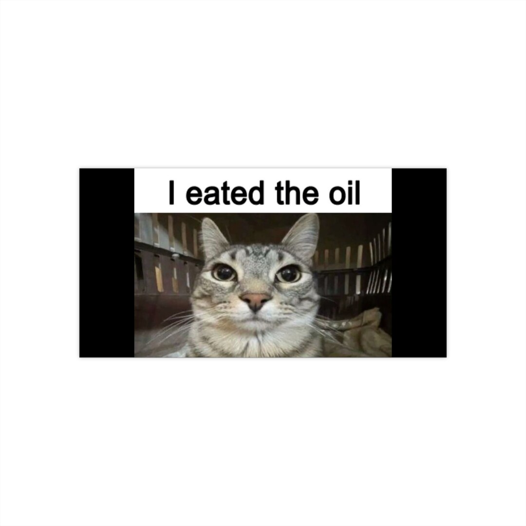 I Eated the Oil | Cat Meme Car Bumper Sticker | Funny Cute Gift, Car ...