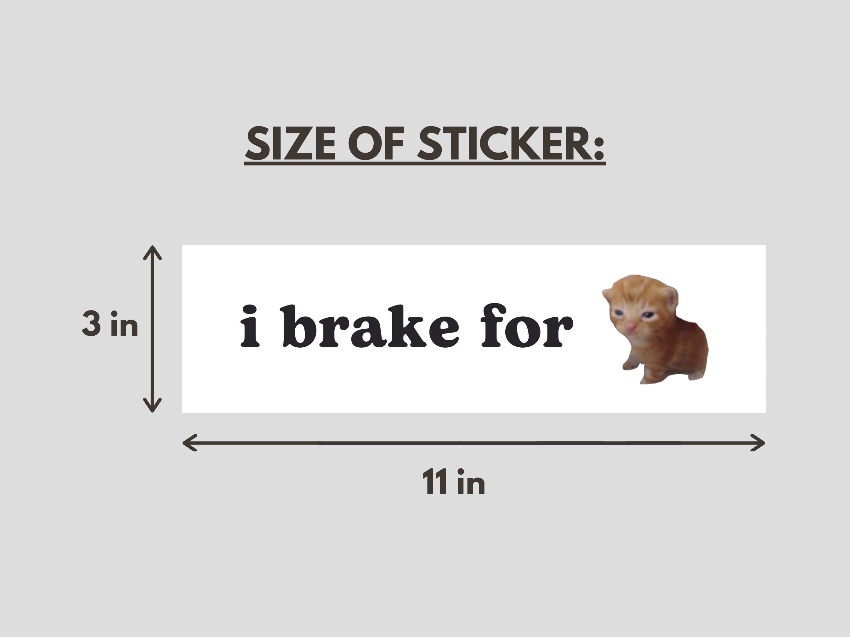 I Brake for Cats Cat Meme Car Bumper Sticker Funny Cute Kitty Car ...