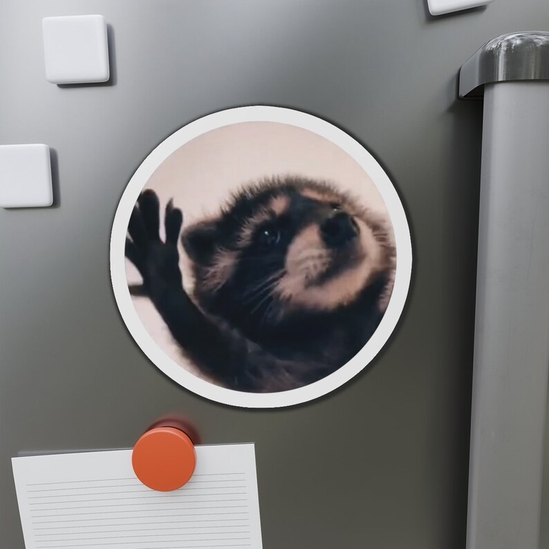 Pedro Pedro Raccoon Dancing Tiktok Meme Magnet Funny Cute Custom Fridge ...