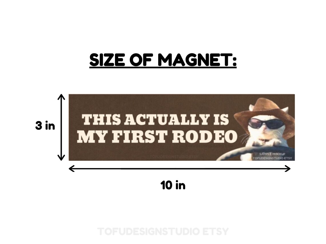 This Actually is My First Rodeo | Car Bumper STICKER | Funny Cowboy Cat ...