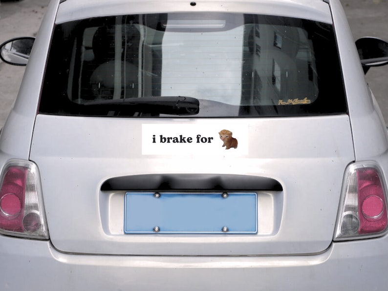 I Brake for Cats | Cat Meme Car Bumper Sticker | Funny Cute Kitty Car ...