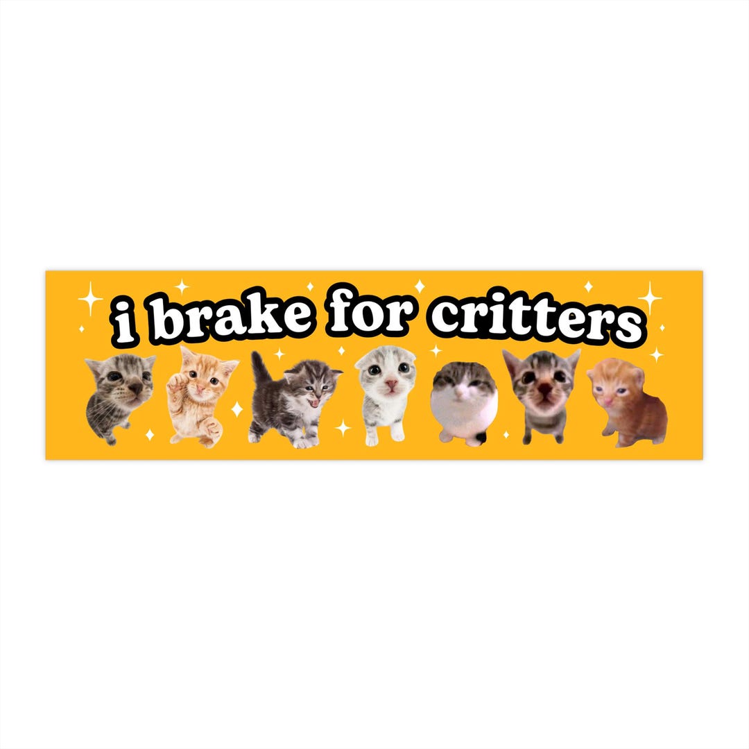 I Brake for Critters Cat Meme Car Bumper Sticker Funny Cute Kitty ...