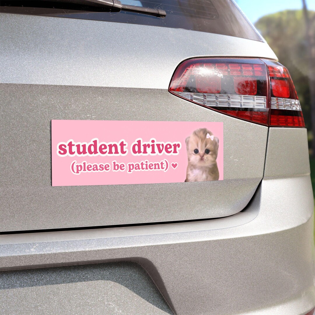 Student Driver Please Be Patient Cat Meme Car Bumper MAGNET Funny, Cute ...