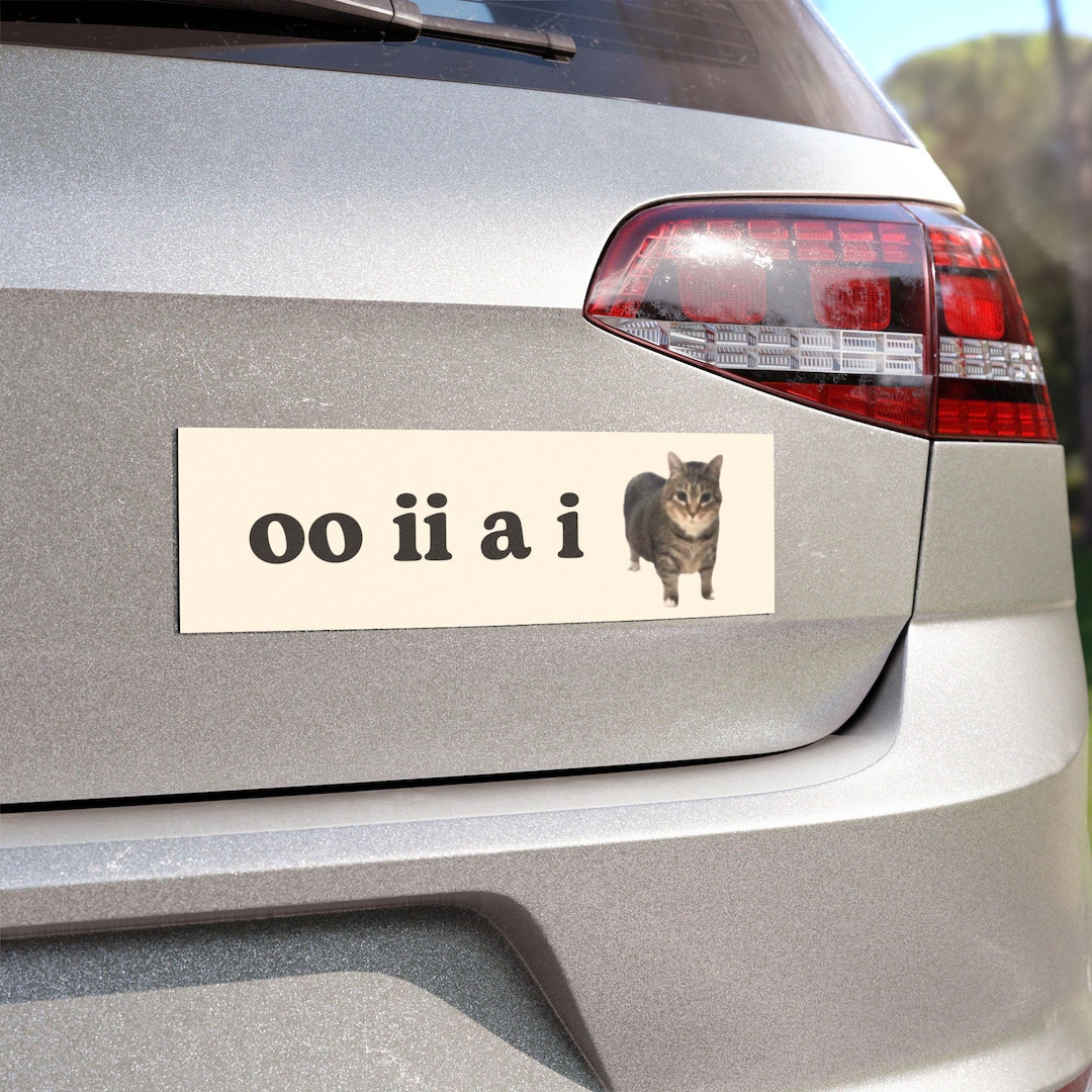 Oo Ii a I | Cat Meme Car Bumper Magnet OR Sticker | Cute Silly Spinning ...
