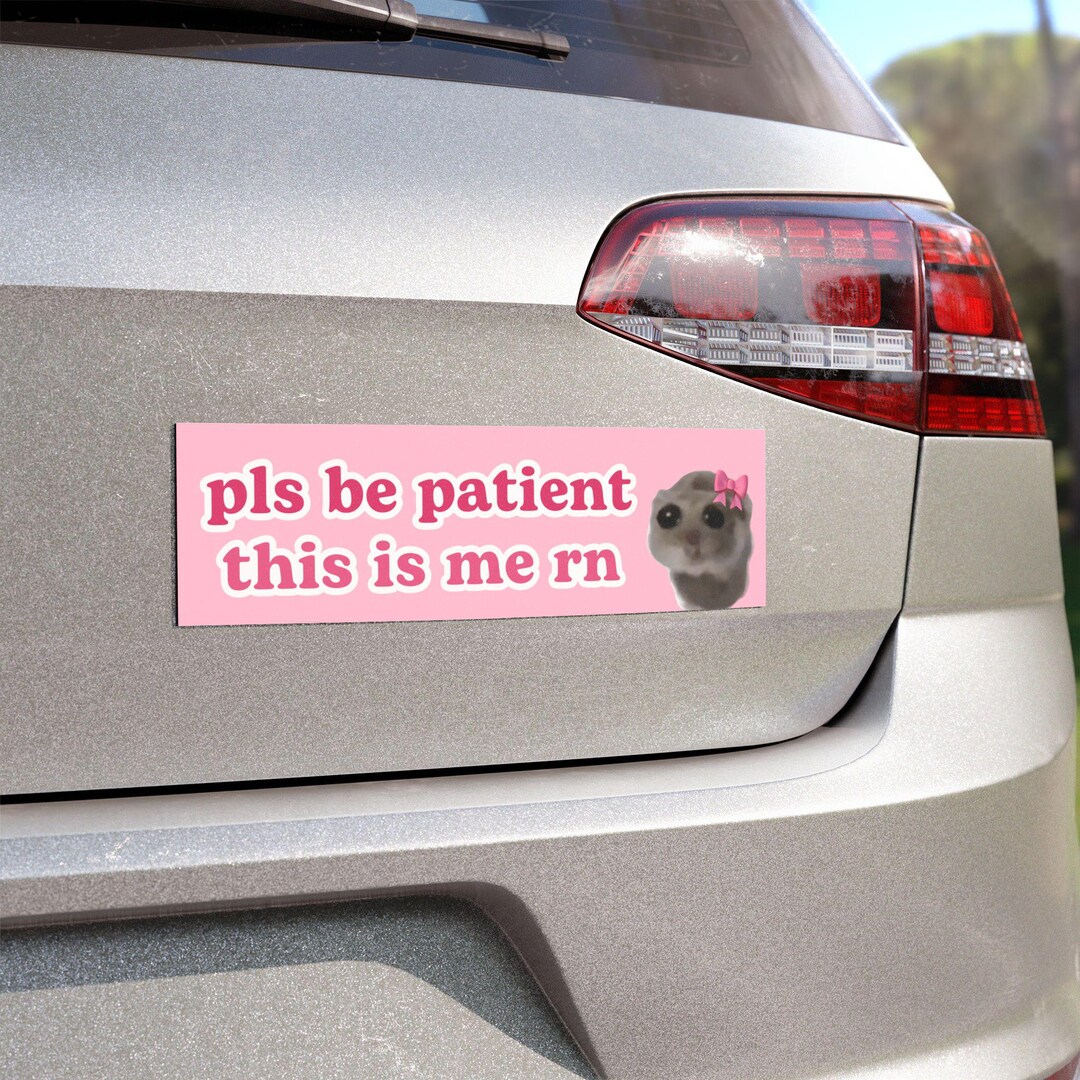 Pls Be Patient This is Me Rn | Sad Hamster Car Bumper MAGNET | Crying ...