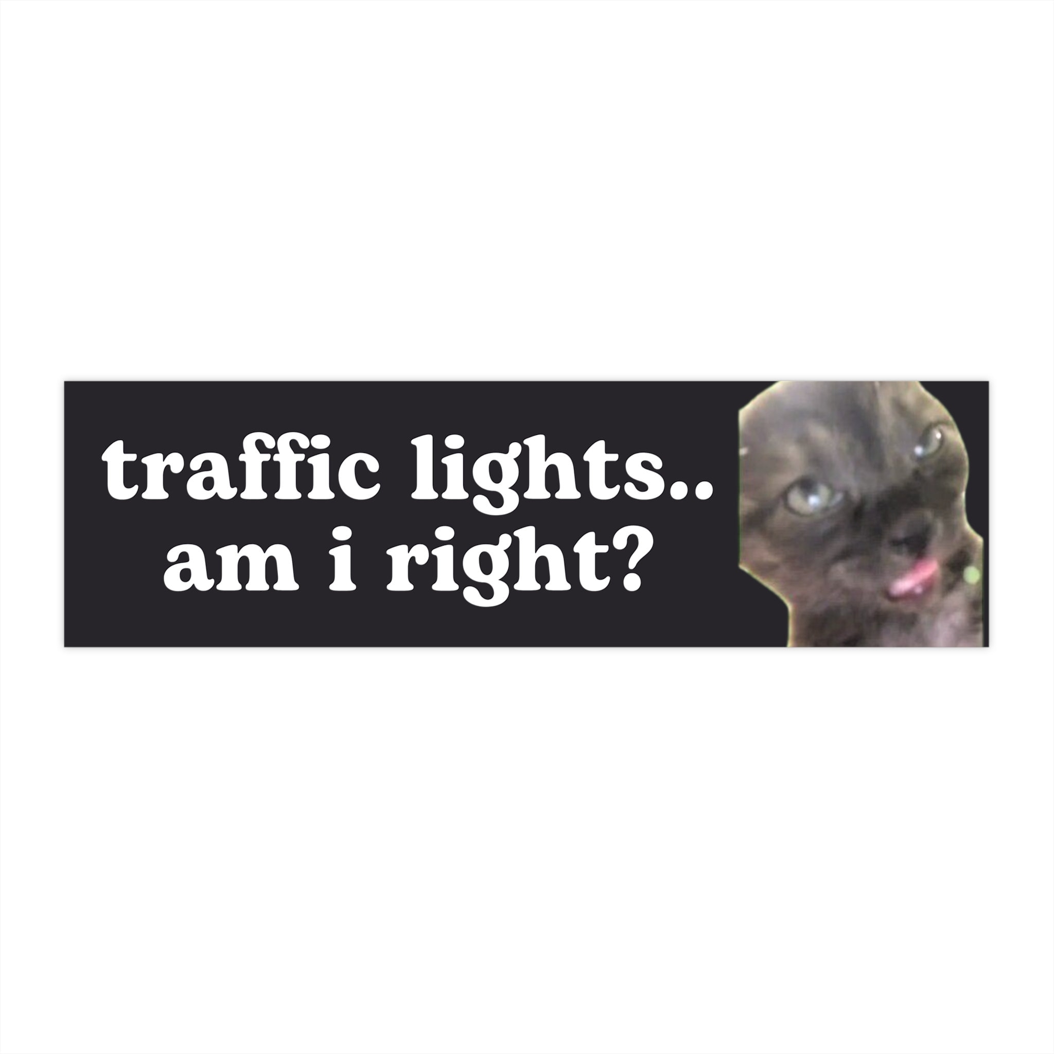 Traffic Lights Am I Right Cat Meme Car Bumper Sticker Funny Cute Car ...