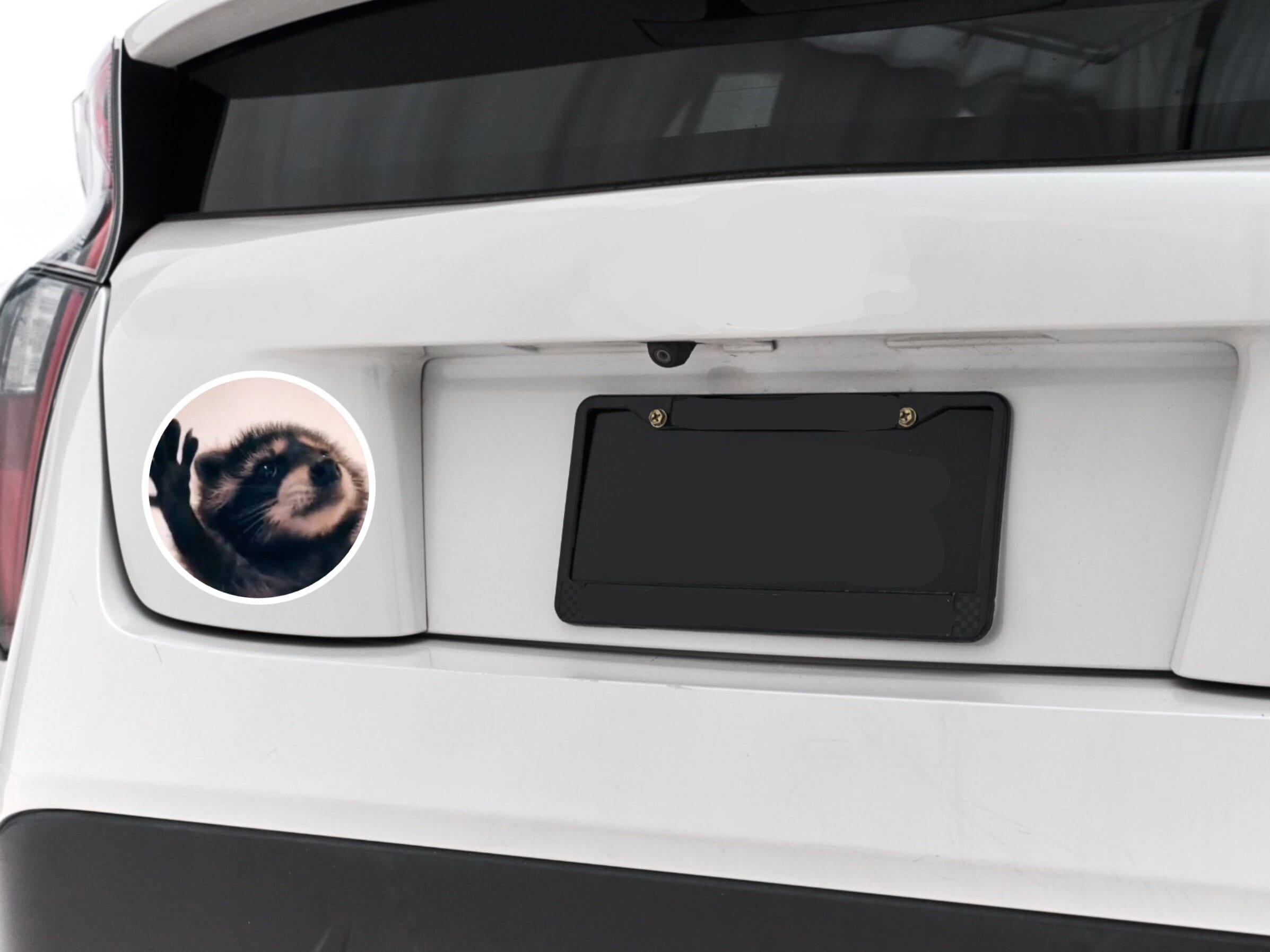 Pedro Pedro Raccoon Dancing Tiktok Meme Funny Cute Laptop, Car Bumper ...