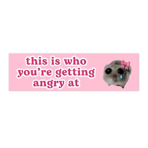 This is Who Youre Angry at | Sad Hamster Car Bumper Sticker | Crying ...