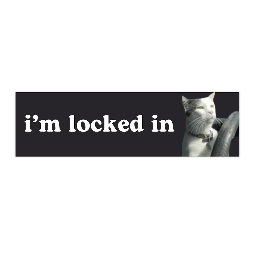 I'm Locked in | Cat Meme Car Bumper Sticker | Driving Kitty Funny Cute ...