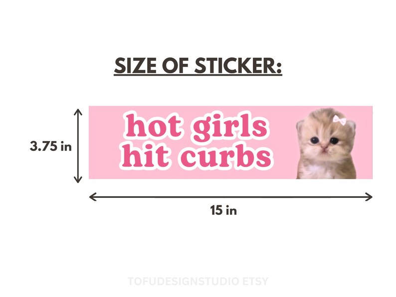 Hot Girls Hit Curbs | Cute Cat Meme Car Bumper Sticker | Funny, Kawaii ...