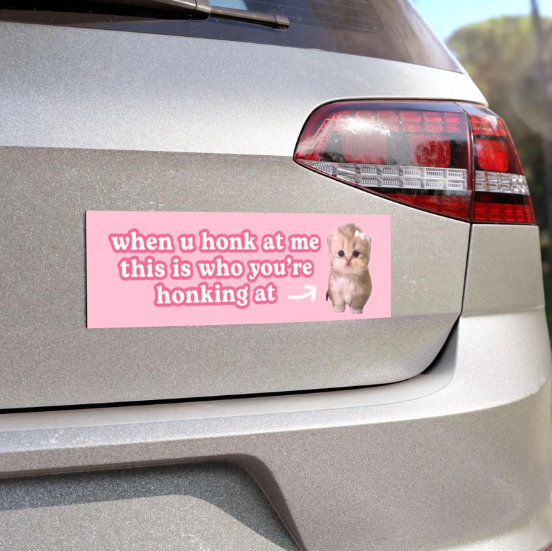 This is Who You're Honking at | Cat Meme Car Bumper Sticker OR Magnet ...
