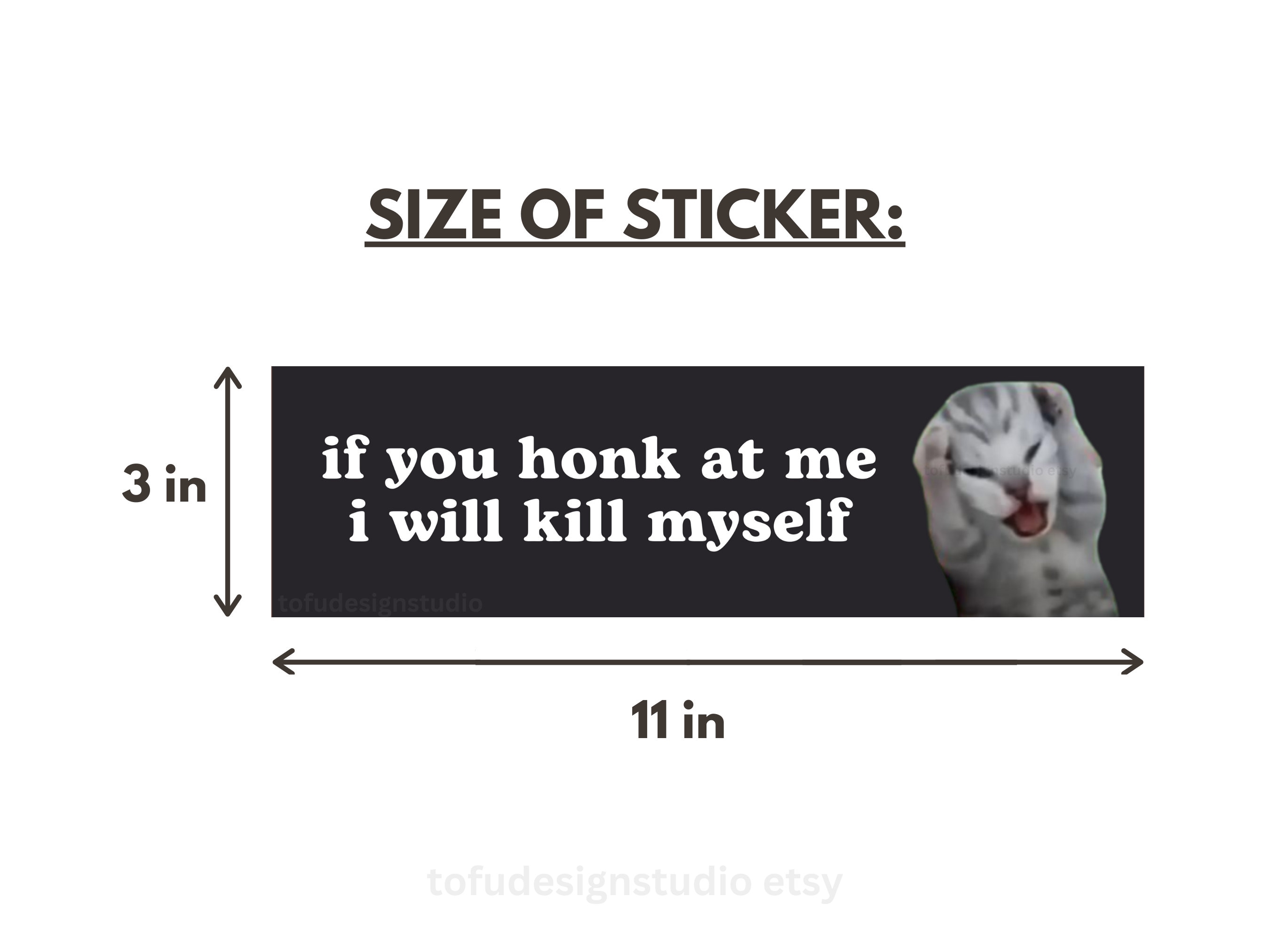 If You Honk at Me I Will Myself | Cat Meme Car Bumper Sticker | Funny ...
