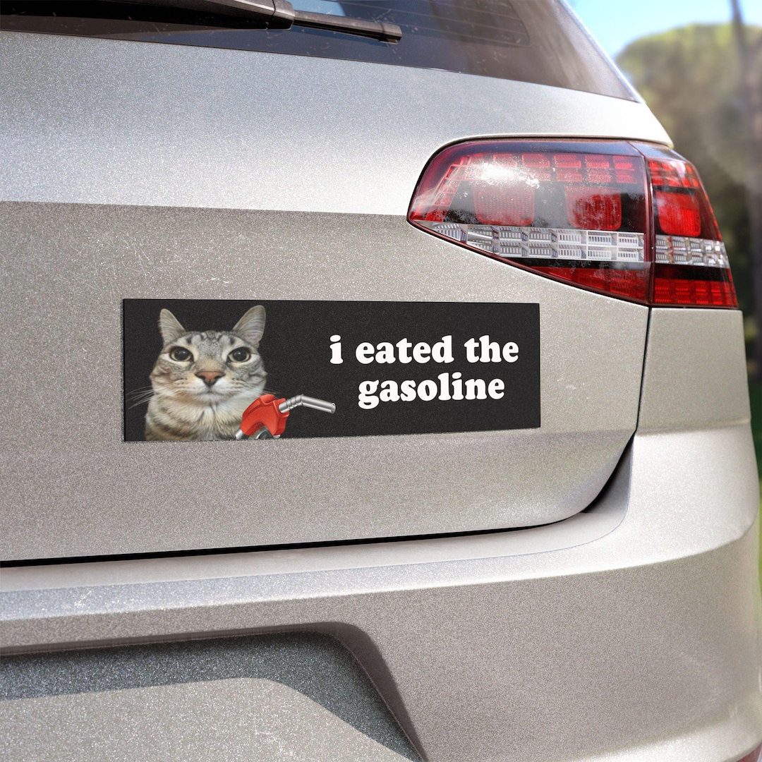 I Eated the Gasoline | Cat Meme Car Bumper MAGNET | Funny Gift, Cute ...