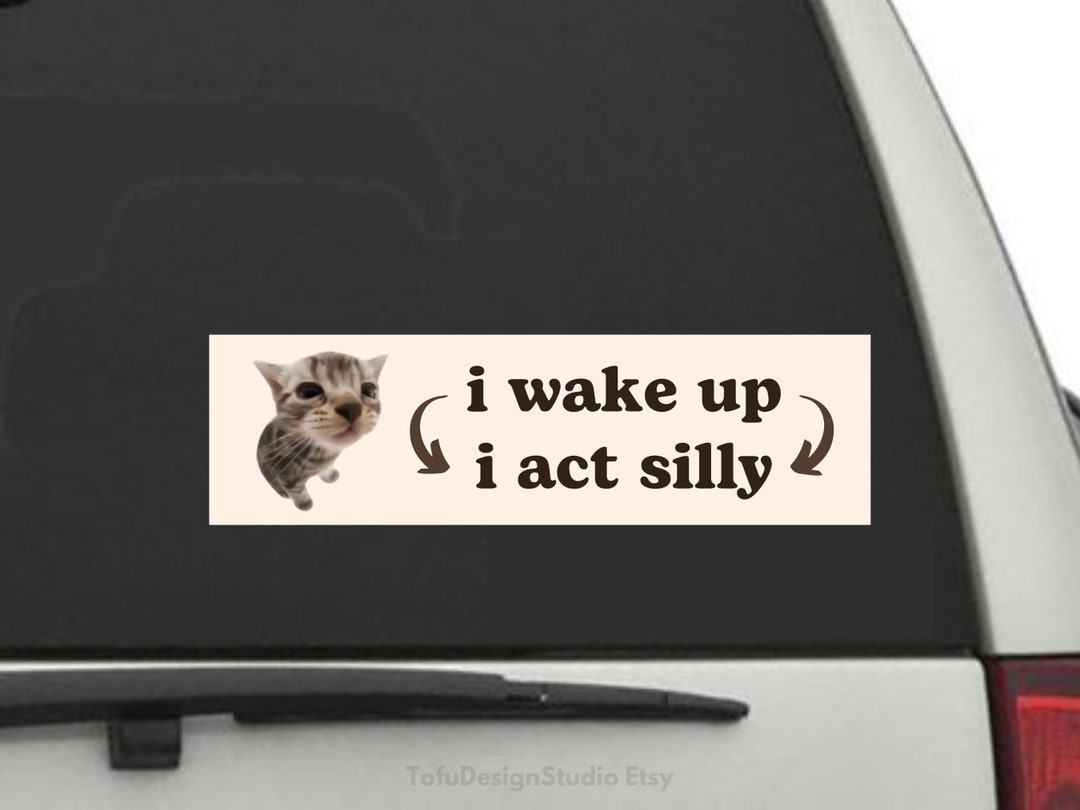 I Wake up I Act Silly / Cat Meme Car Bumper Sticker Cute Funny Silly ...
