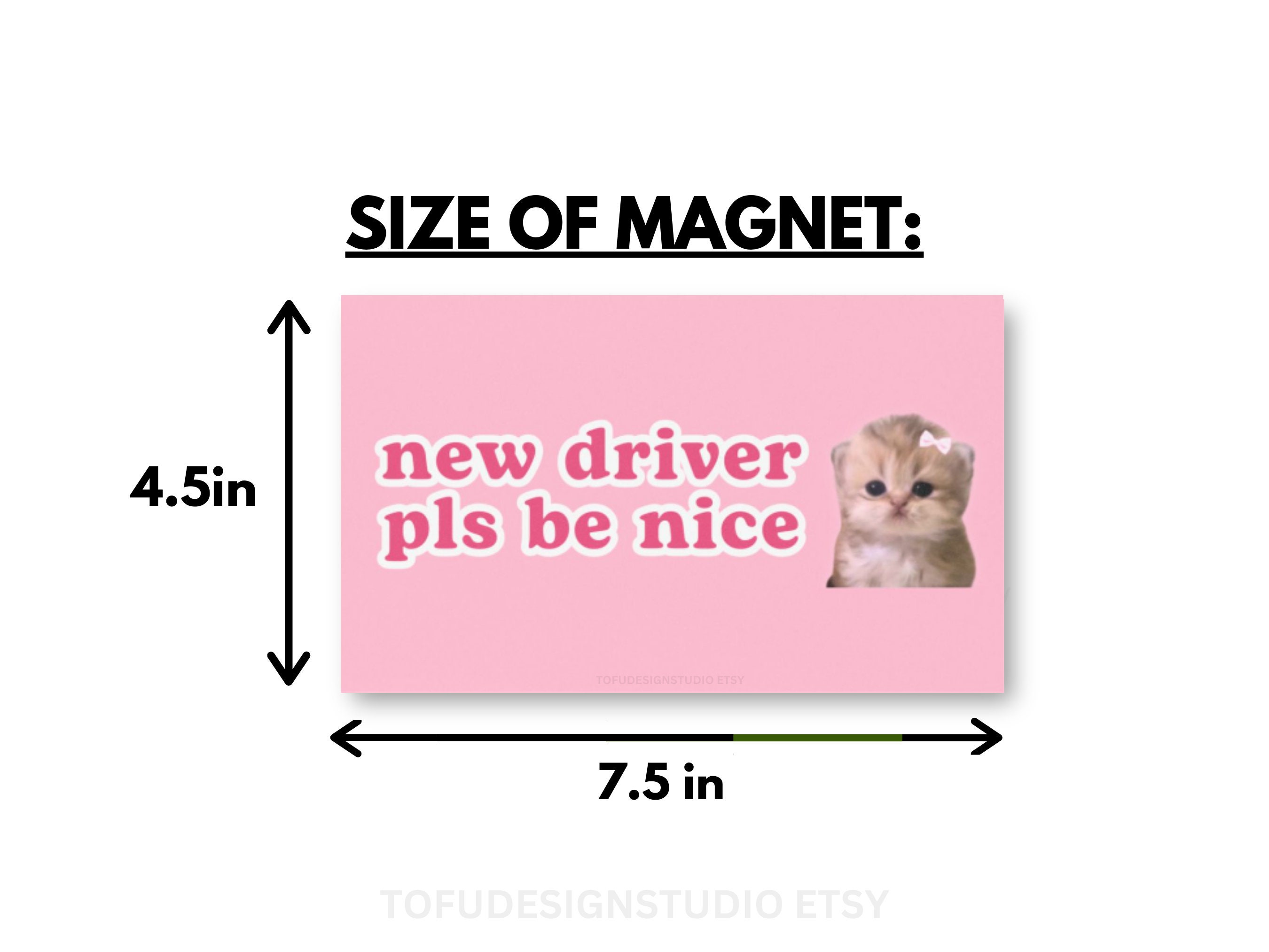 New Driver Pls Be Nice | Cat Meme Car Bumper Sticker | Pink Coquette ...