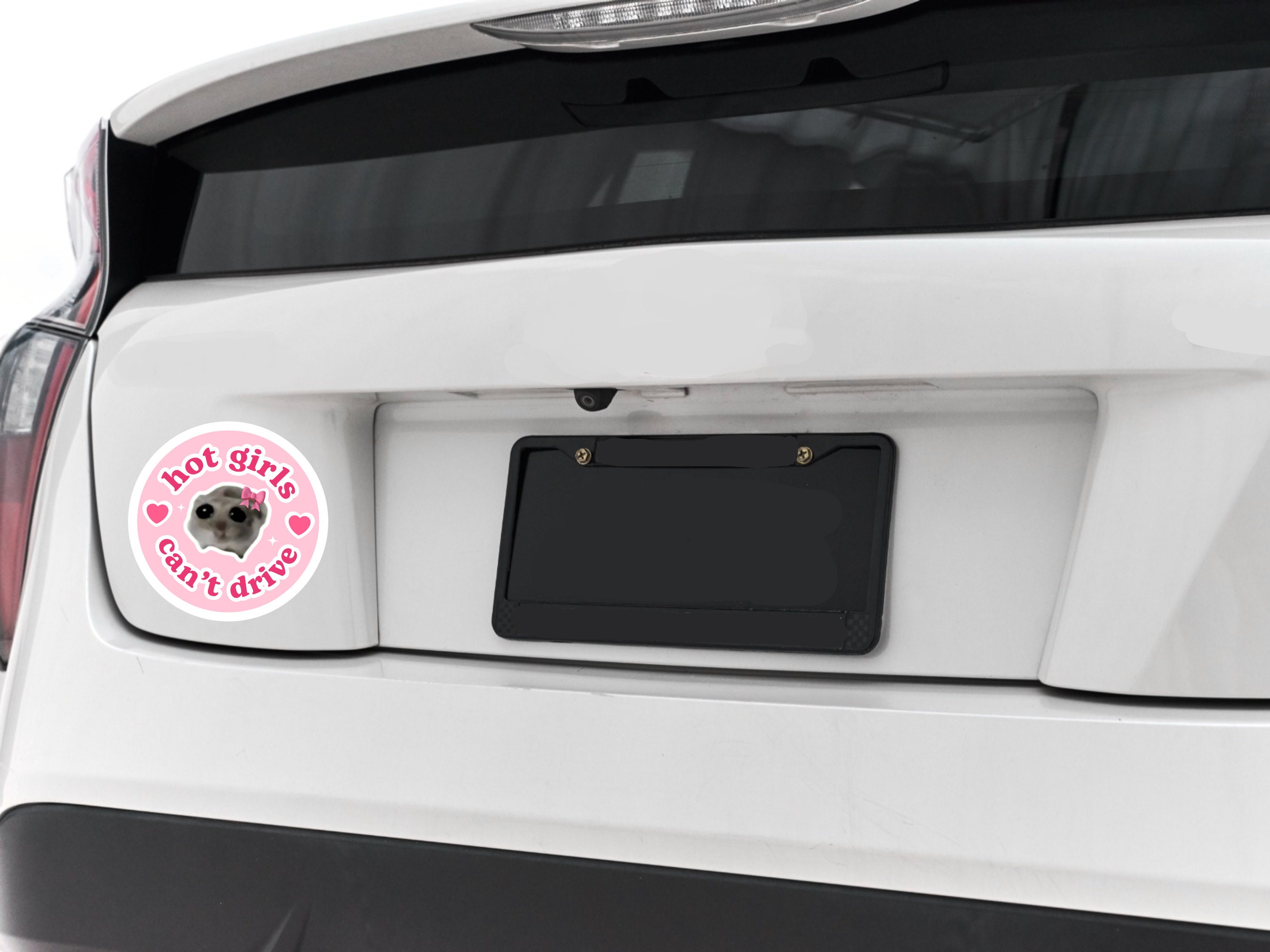 Hot Girls Can't Drive Sad Hamster Meme Round Circle Car Magnet Car ...