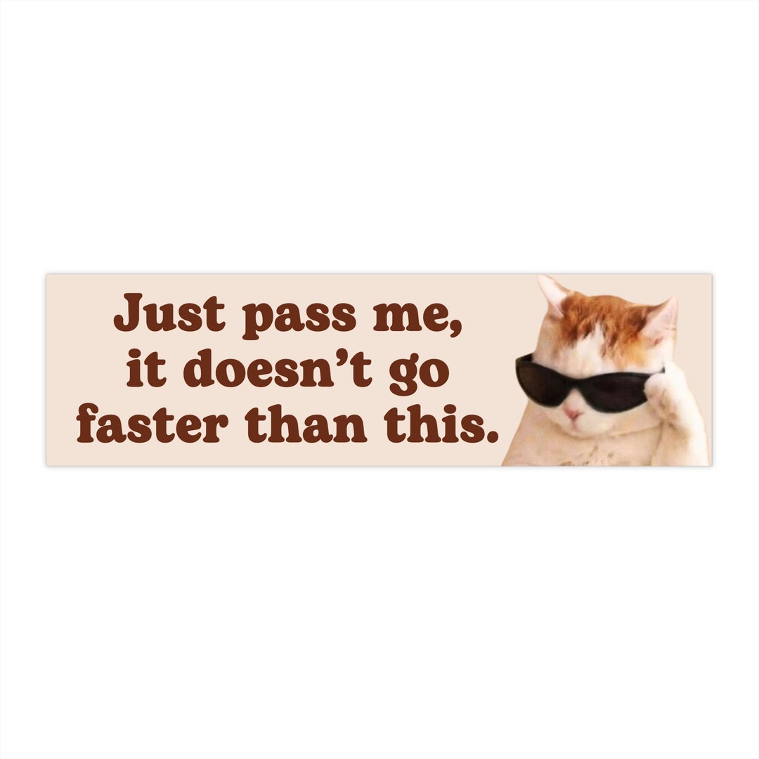 Just Past Me, It Doesn't Go Faster Than This | Cat Meme Car Bumper ...