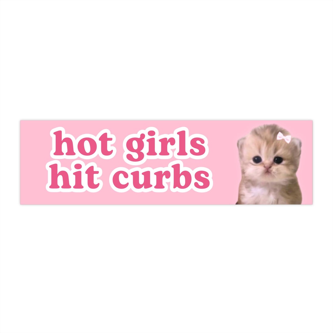 Hot Girls Hit Curbs | Cute Cat Meme Car Bumper Sticker | Funny, Kawaii ...