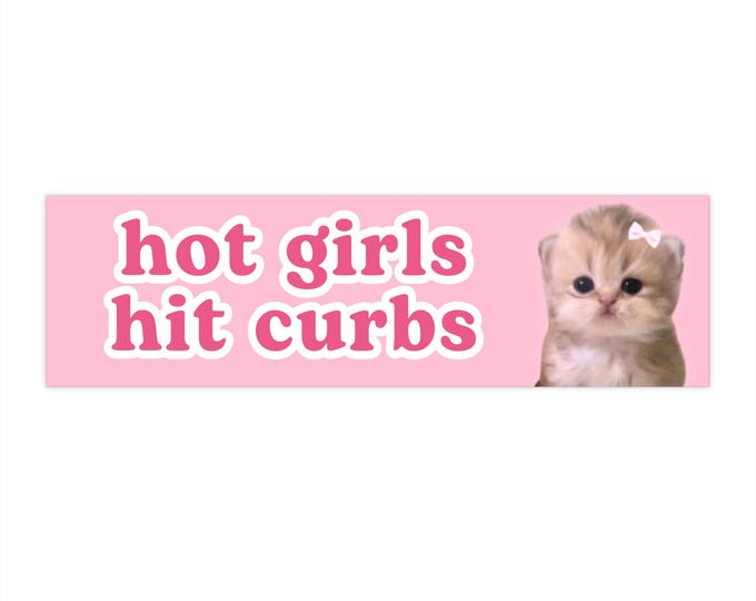 Bad Driver Bumper Sticker Funny, Weird Car Sticker Decals for Window ...